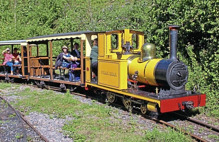 £25 steam loco celebrates 50 years in preservation | Heritage Railway ...